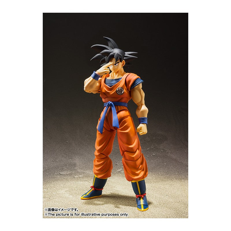 Goku saiyan raised on earth sh figuarts store