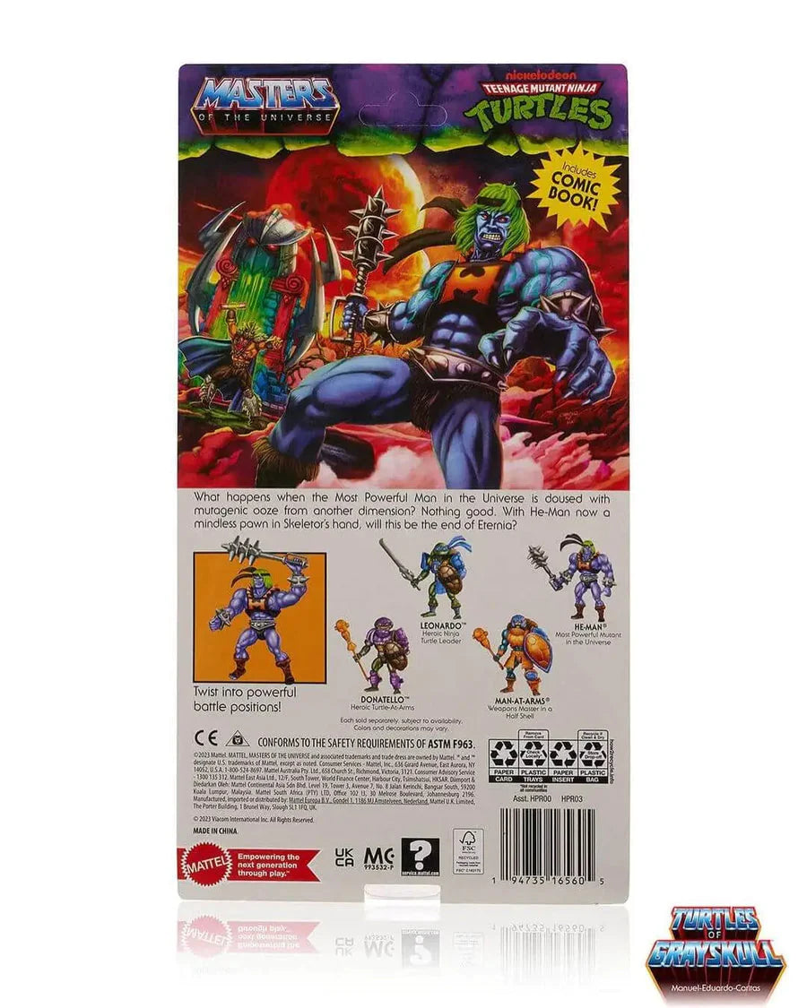 Turtles of Grayskull - He-Man - TMNT - MOTU - Mattel – eCollectibles